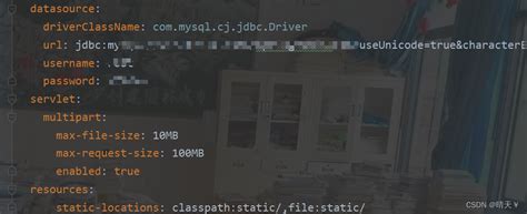 springboot项目启动之后报错：failed to load property source from location ‘classpath application yml‘ jar