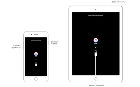 Пишем про смартфоны и другие гаджеты Smartfonus Ru Как разблокировать Айпад если забыл пароль