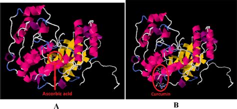 Avitc Binding Mode With P38mapk Fig 5 Bcurcumin Binding Mode With