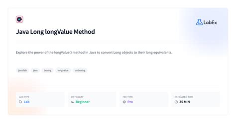 java long longvalue 메서드 마스터하기 labex