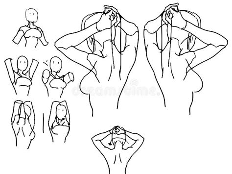 Female Breast Drawing Tutorial Drawing A Woman S Body With An Emphasis On Breasts Stock