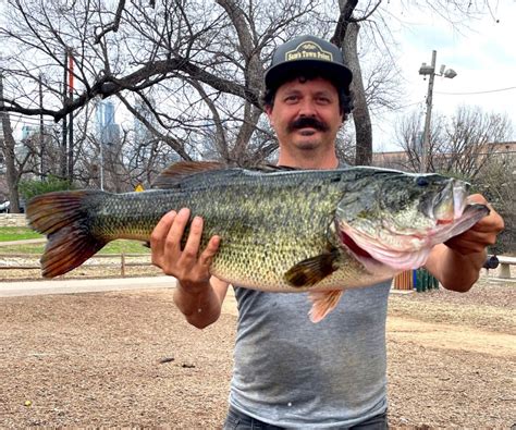 Record Largemouth Caught In Downtown Austin Is The Biggest Bass So Far