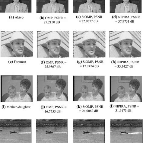 Perceptual Quality Comparison Of The Images Recovered By Nipira With