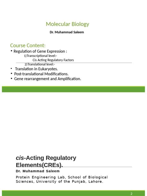 Cis Acting Regulatory Elements Cres Pdf Promoter Genetics Gene
