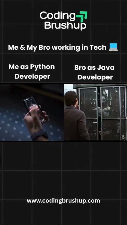 Python Developer Vs Java Developer Coding Bros In Tech 😂💻 Youtube