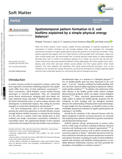 Pdf Spatiotemporal Pattern Formation In E Coli Biofilms Explained By A Simple Physical Energy
