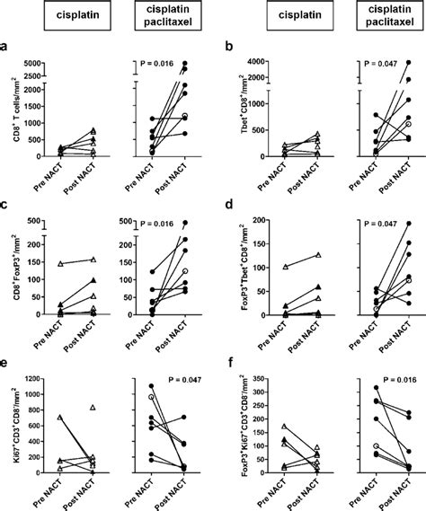 Alterations In Tumor Infiltrating T Cell Rates After Neoadjuvant Download Scientific Diagram