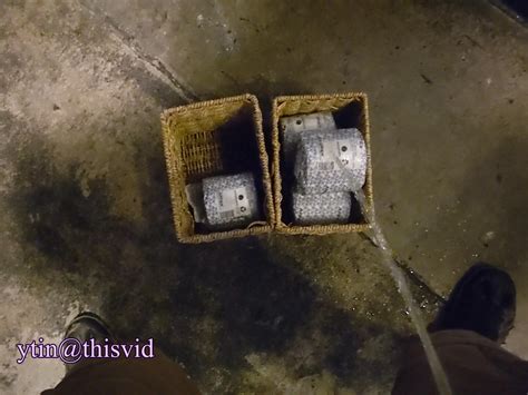 Public Restroom Spare TP Piss X ThisVid Com