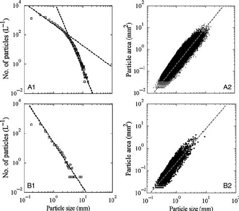 particle size abundance spectra and size area relationships calculated