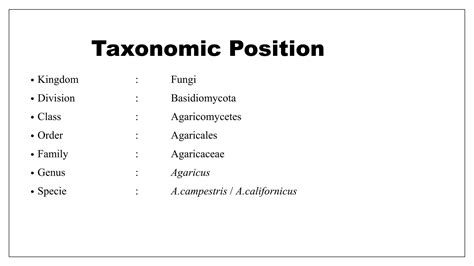 Structure And Reproduction In Agaricus Pptx