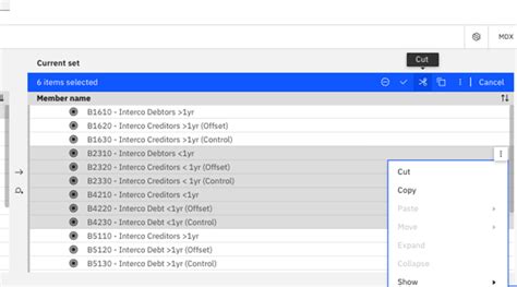Working With Subsets In Ibm Planning Analytics