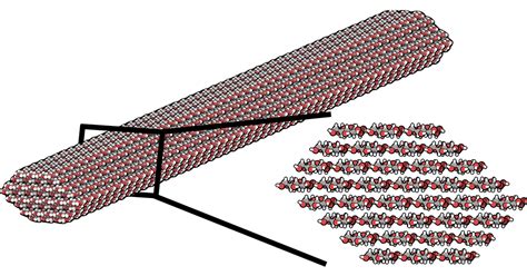 Nanocellulose Materials By Design News Northwestern Engineering