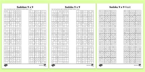 Sudoku 9 X 9 Arbeidsark Teacher Made Twinkl