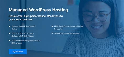 seu guia completo para hospedagem gerenciada do wordpress dreamhost blog