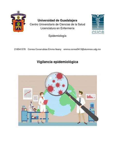 Vigilancia Epidemiologica Pdf Vigilancia Información
