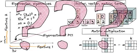 reasons why you will need linear algebra as a data scientist