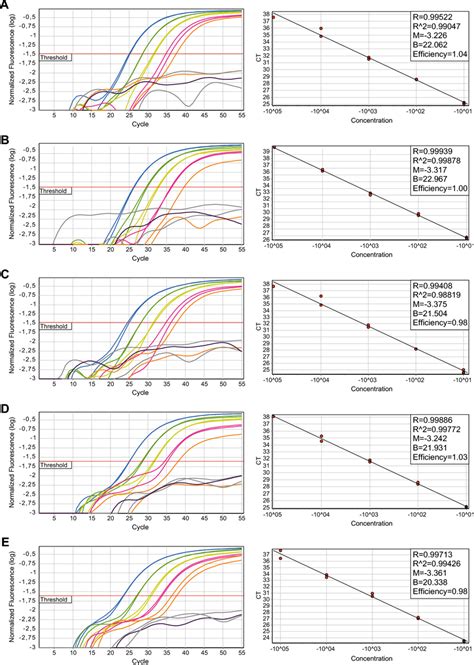 Examples Of Real Time Quantitative Pcrs A Sample 4316 B Sample