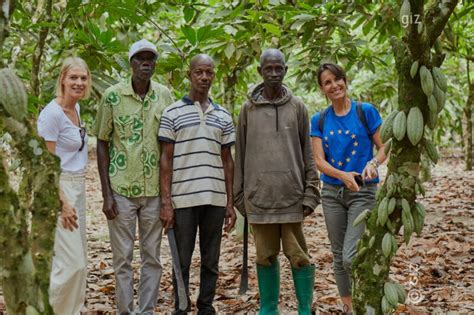 Ghana Cocoa Traceability System A New Era For Sustainable Cocoa