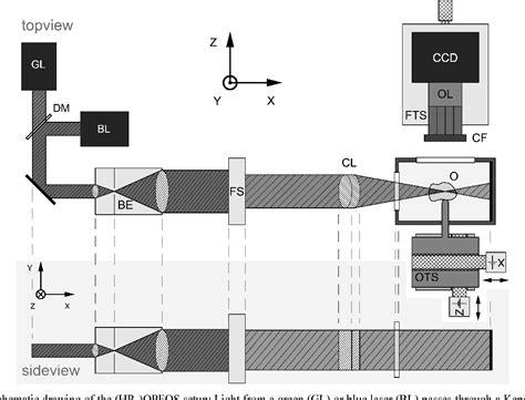 Figure 1 From Orthogonal Plane Fluorescence Optical Sectioning A Technique For 3 D Imaging Of