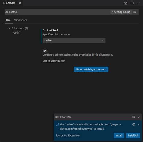 go linters in vs code my public notepad