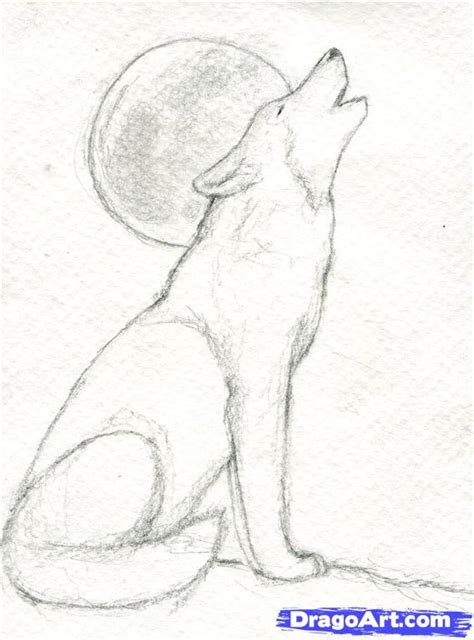 Wolf Howling At The Moon Drawing Step By Step At PaintingValley
