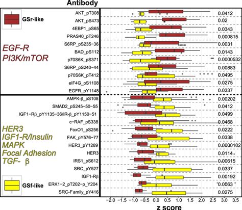 Phosphoproteomic Analysis Supports Genomic And Metabolic Clustering Of