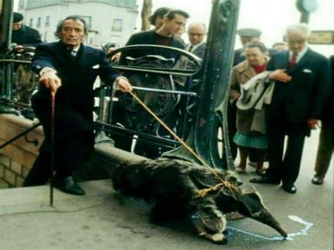 سالوادور دالی زندگینامه سالوادور دالی شخصیت منحصر به فرد سالوادور