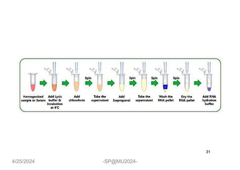 2 Isolation Extraction And Purification Of Nucleic Acidspdf
