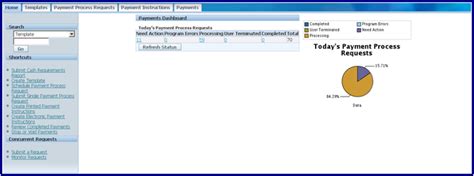 Oracle Applications Oracle R12 Ap Checks Setups And Process Training Guide