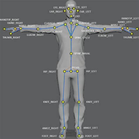 Tracking Results Of Three Body Tracking Algorithms A Cubemos 9