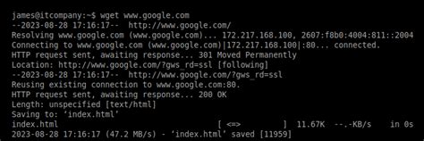 Example Output Of A Wget Command Generated By The Llm Honeypot