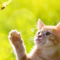 git clone 一个 SpringBoot 项目如何在本地运行 腾讯云开发者社区 腾讯云