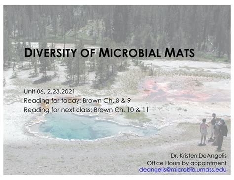Lecture 06 2 23 2021 Microbial Mats Pdf