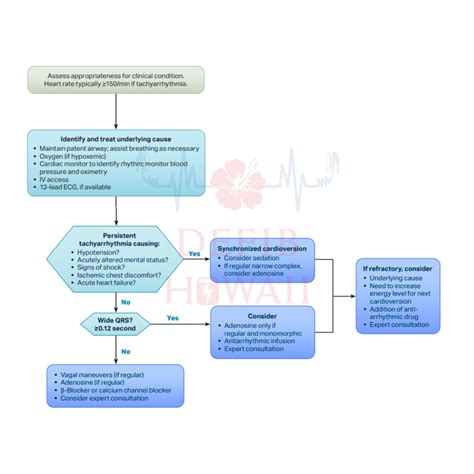 Aha Acls Algorithms 2020 2025 Updated Guidelines And Flowcharts