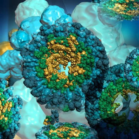 Manufacturing Technology Protein Recovery And Purification Industrial Biotech International