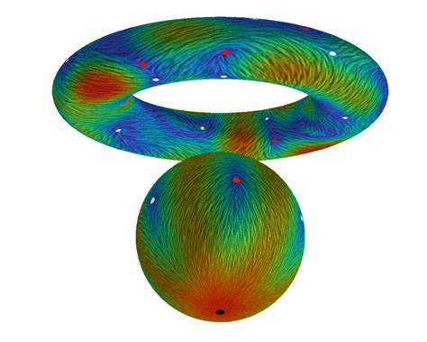 Illustration Of The Tensor Topological Rule For A Torus And A Sphere Download Scientific Diagram