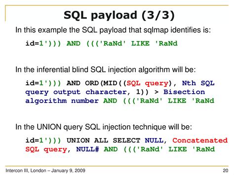 Sql Injection Exploitation Internals Pdf