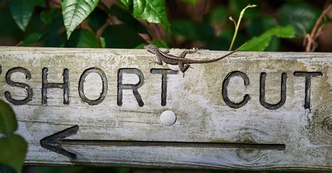 Short Circuiting In Js Boost Readability And Performance Javascript In Plain English