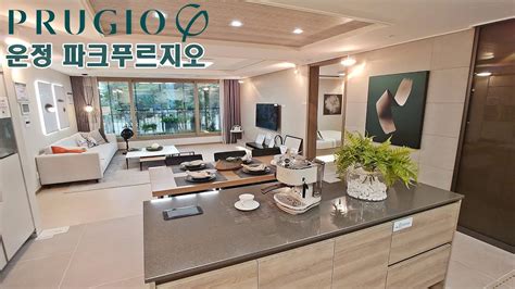 완료 미분양이라 우습게 보지마세요 눈에 보이는 프리미엄이 틀립니다 운정신도시를 빛낼 파크 푸르지오 고급인테리어 아파트