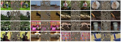 论文笔记 Multimodal Masked Autoencoderslearn Transferable Representations