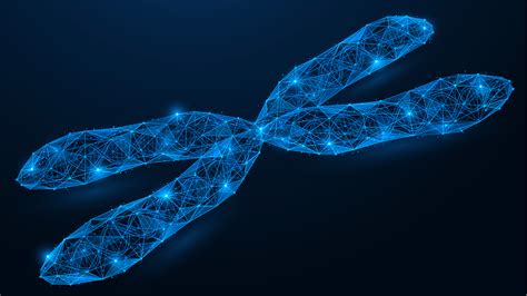 Workshop Research Data Repositories And Tools For Human Genomics Data