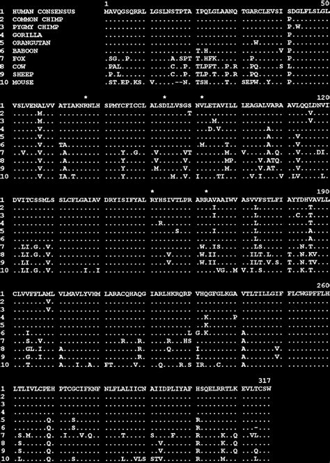 —protein Sequence Alignment Of Mc1r · Sites Identical To Human Download Scientific Diagram
