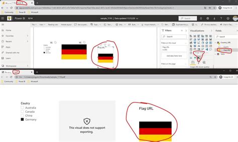 solved re images not exporting to pdf microsoft fabric community