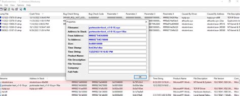 Windows Crash · Issue 1039 · Safingportmaster · Github