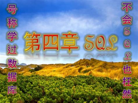 PPT 第四章 SQL PowerPoint Presentation free download ID