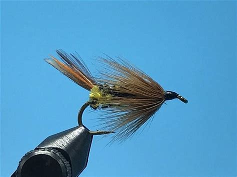 Brindle Bug Steelhead Flies The Trout Spot