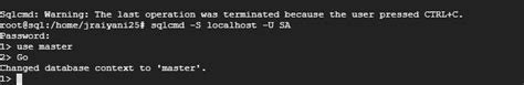 SQL Server Installation Troubleshooting On Ubuntu
