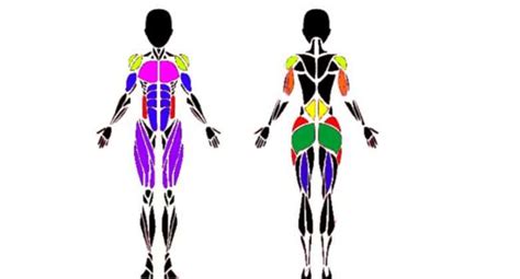 How Many Calories Do You Burn During Sex Take This Test Thats Based On Your Weight And