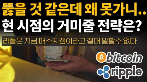 뚫을 것 같으면서도 쉽게 못가는 이유 ⭐ 현 시점에서 필요한 거미줄 전략 공개 비트코인 이더리움 리플xrp