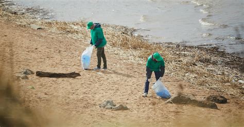 녹색 제복을 입은 두 명의 윤 남자가 쓰레기에서 강둑을 청소하고 자루에 넣습니다 사진 Unsplash의 바닷가 이미지